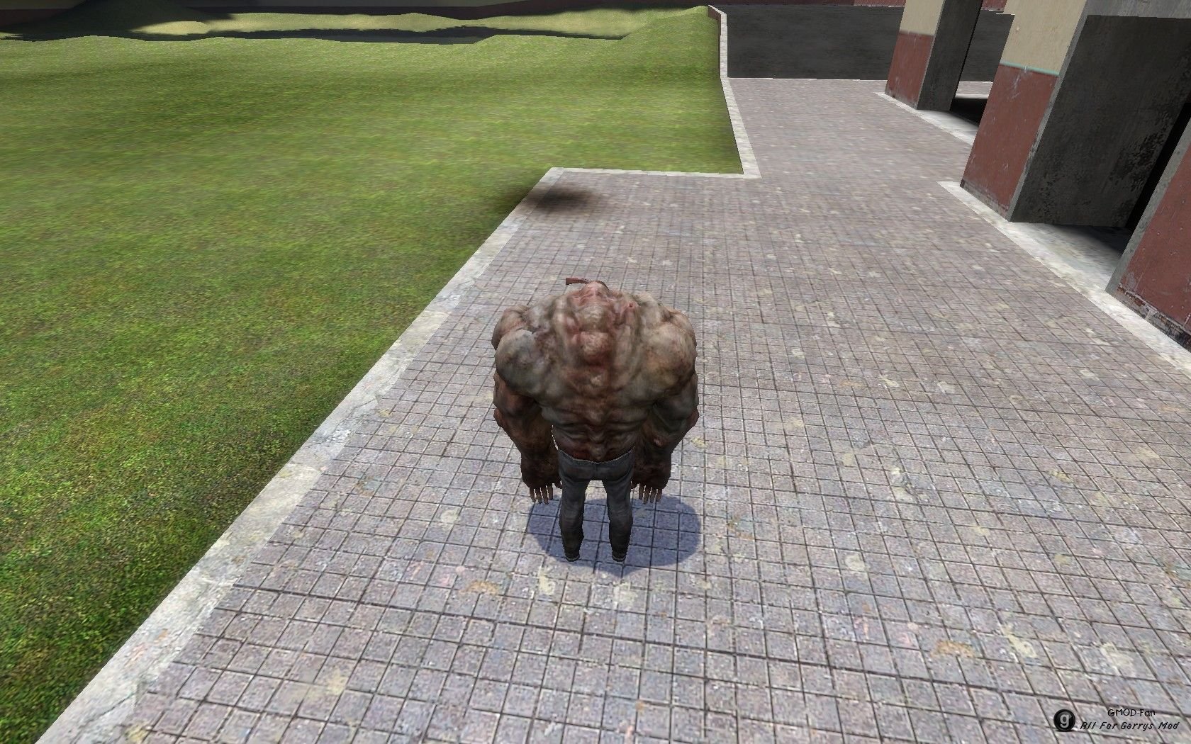 L4D Tank player model