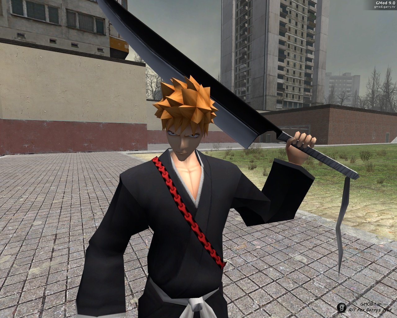 Ichigo and Zangetsu Ragdolls