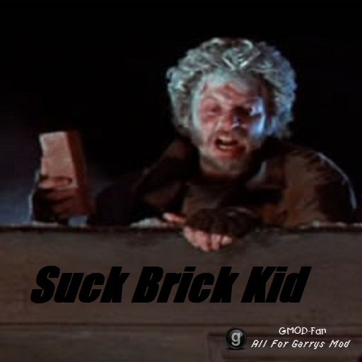 Home Alone Brick