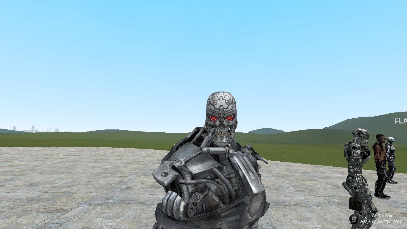 Terminator Playermodels and NPCs