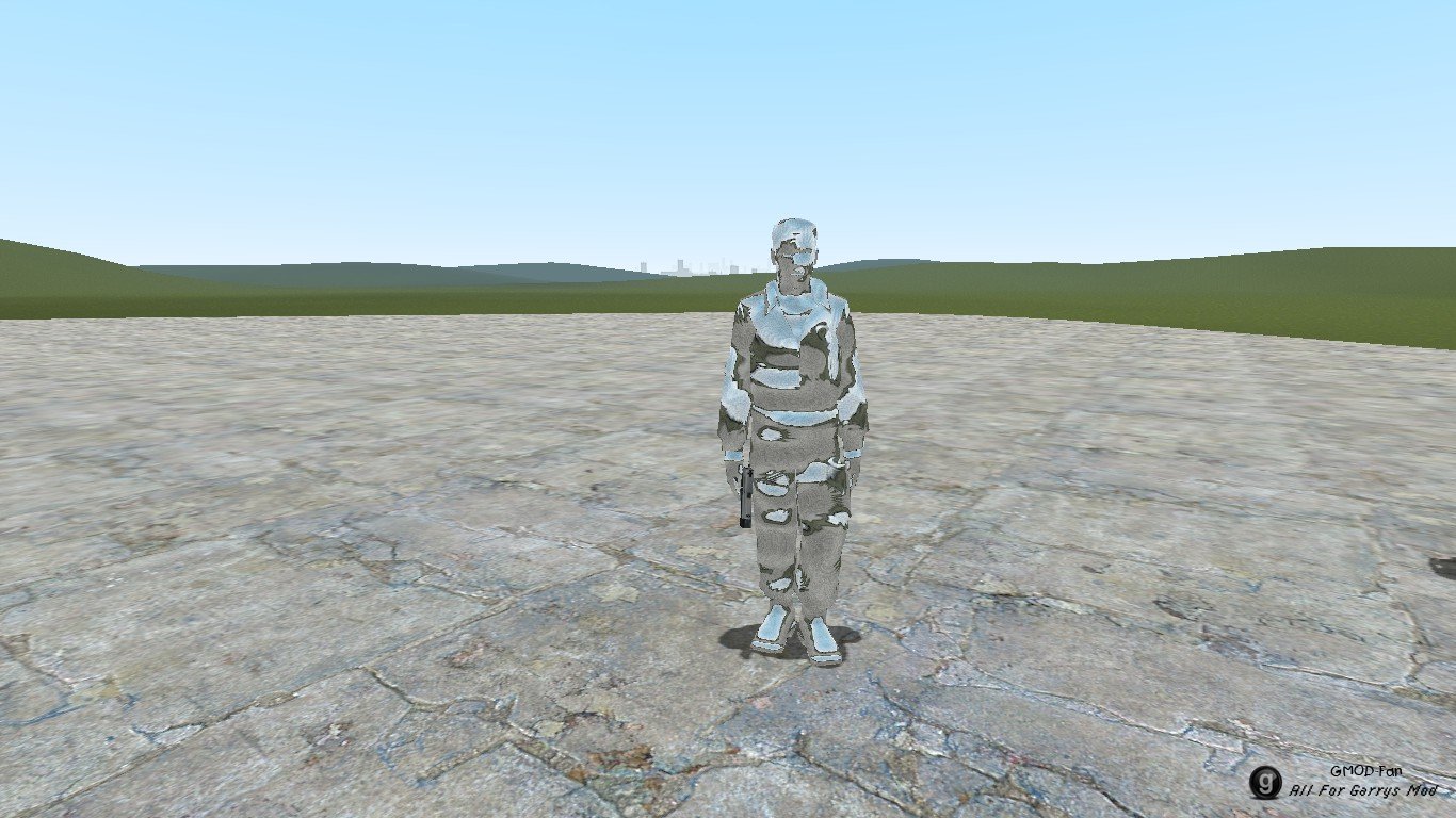 Terminator Playermodels and NPCs