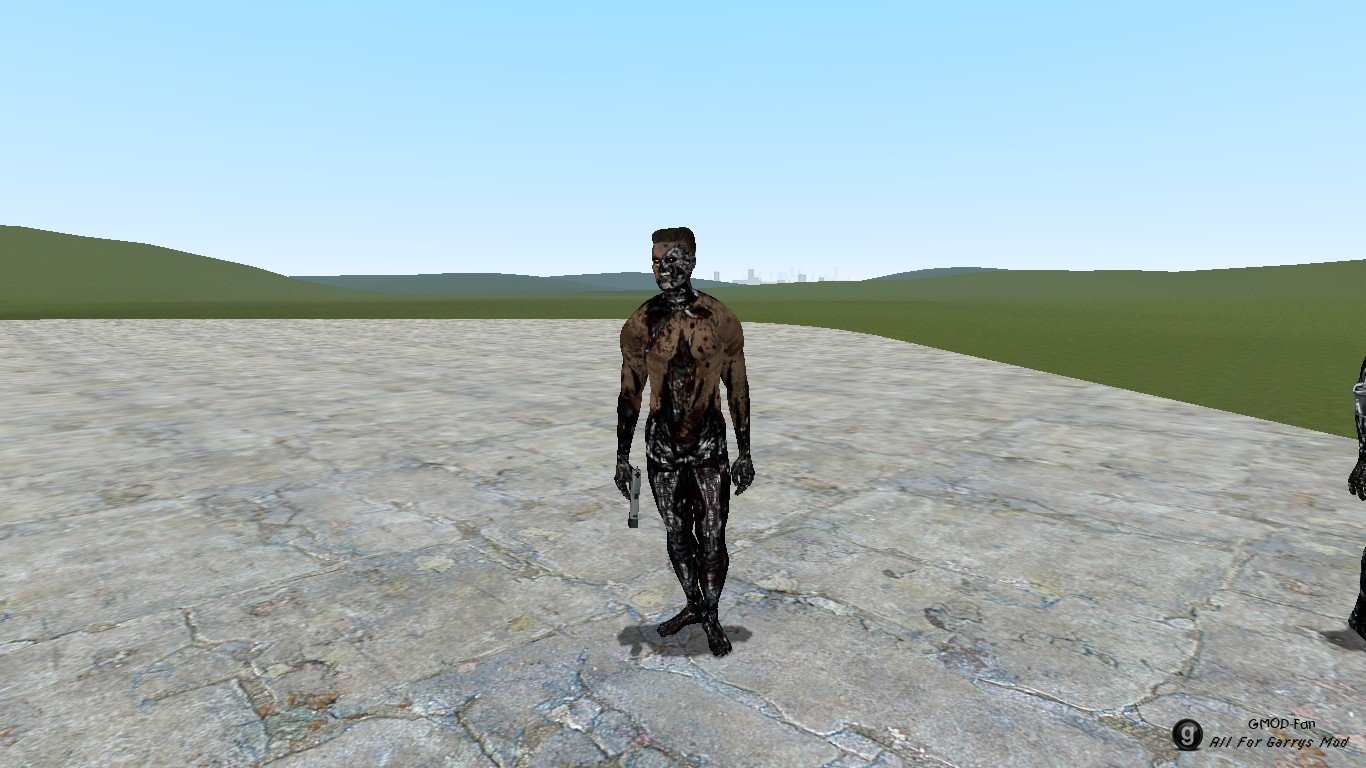 Terminator Playermodels and NPCs