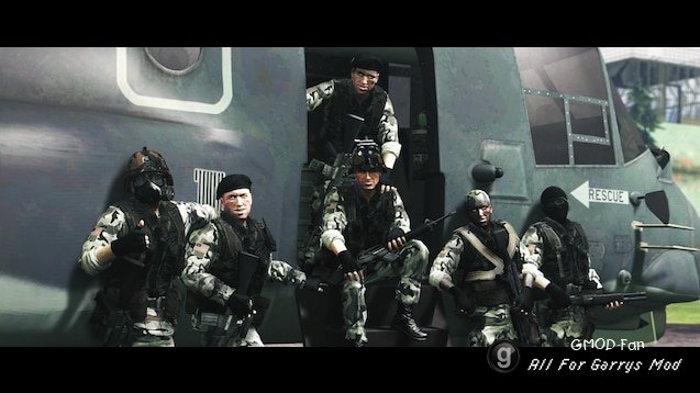 HECU Marines - Realism